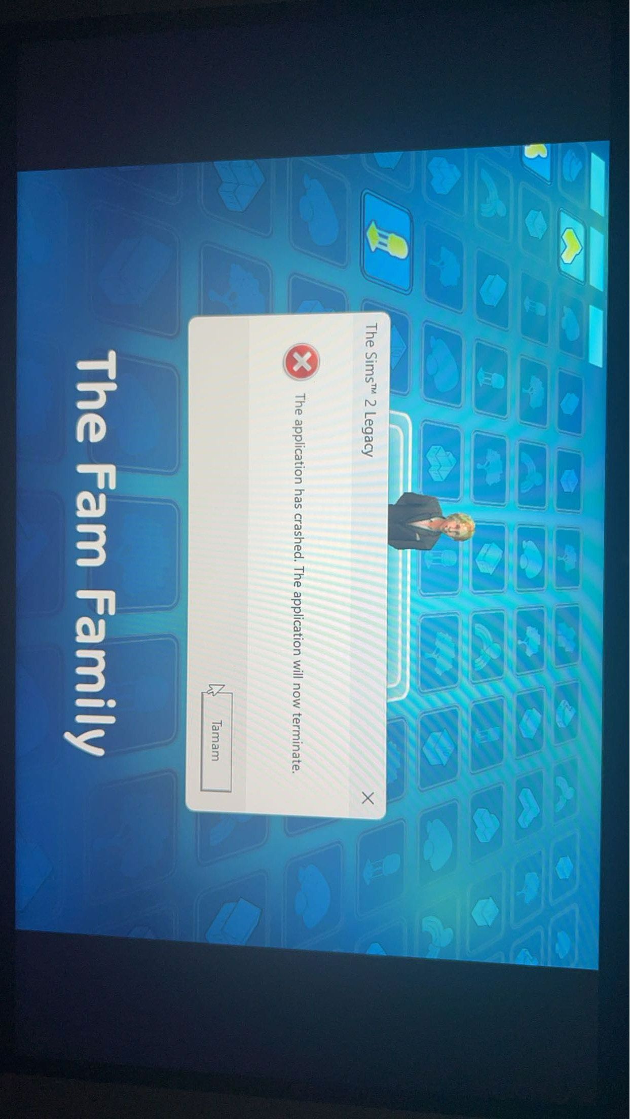 Sims 2 crashes when I create a new family | EA Forums - 11851228