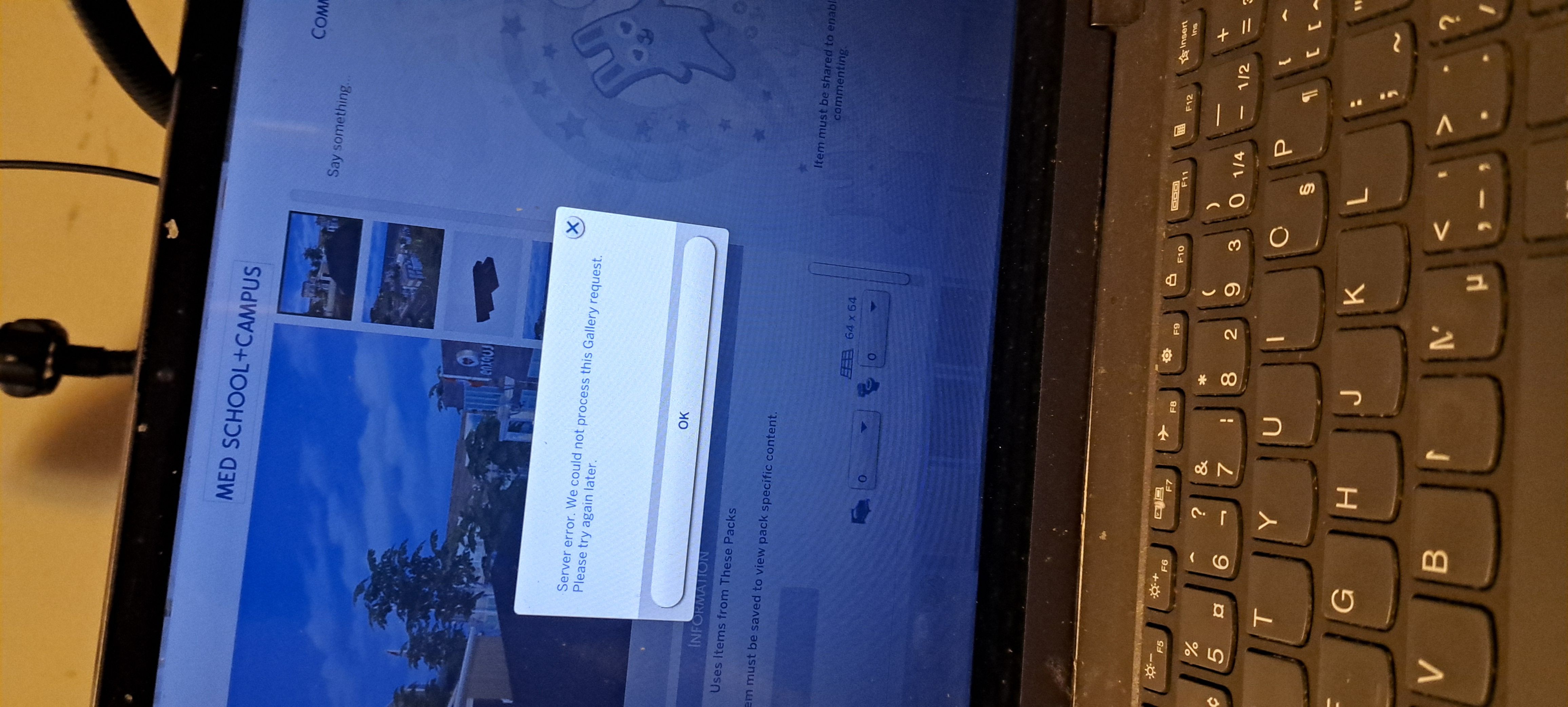 Can't Save Lot my Gallery and Infinite Loading Screen. | EA Forums ...